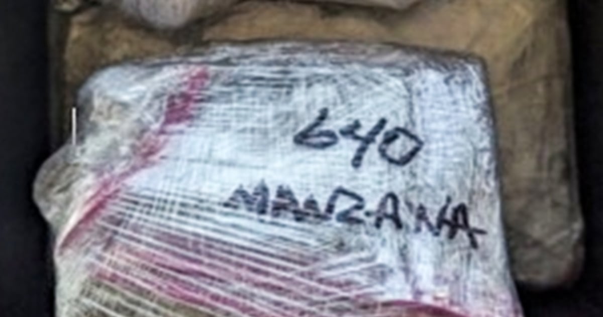 Detienen a una policía de Nueva York por traficar drogas cuando estaba ...