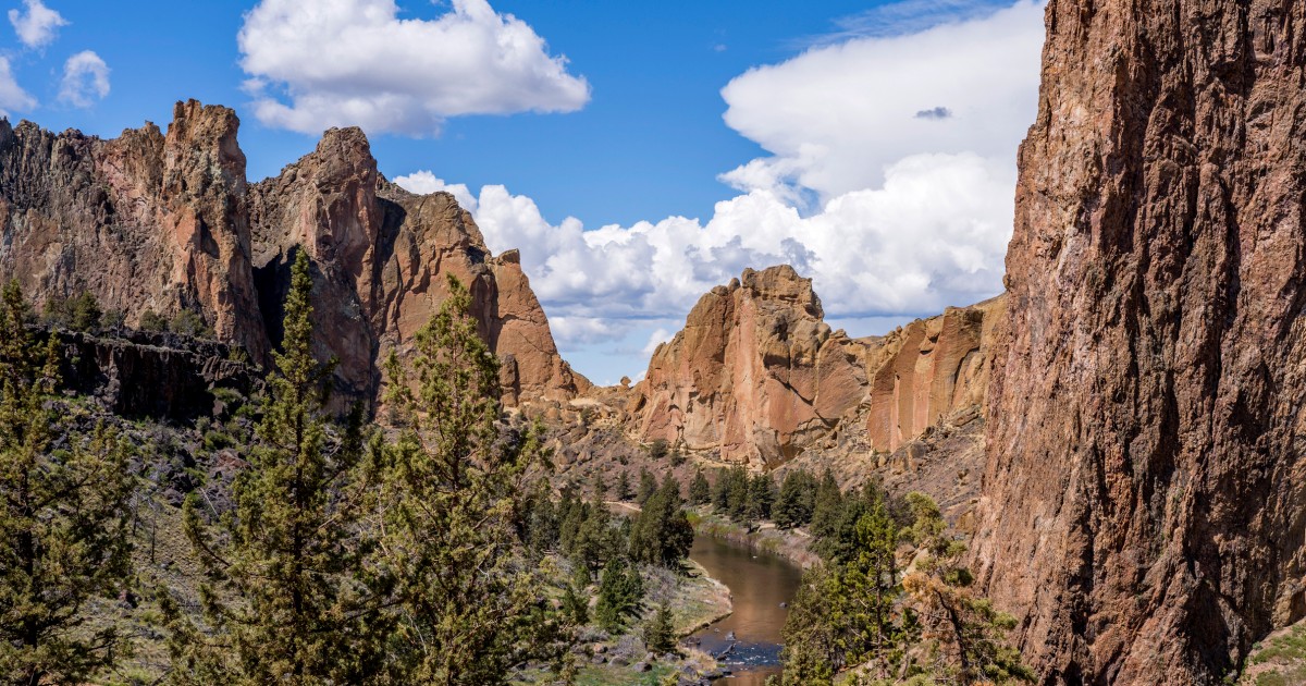 Oregon man arrested and accused of allegedly planning shooting at rock ...