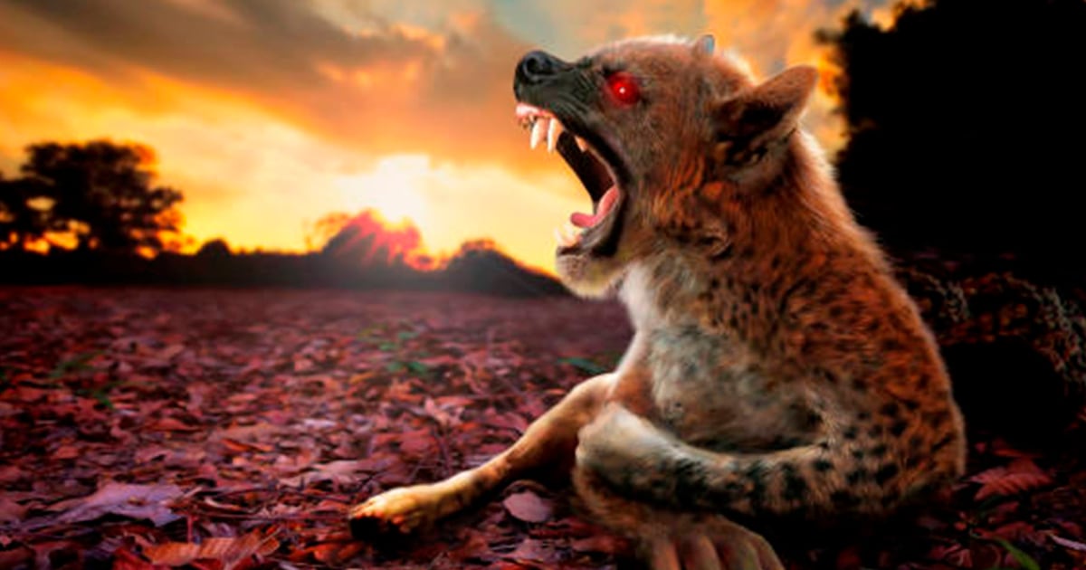 Chupacabras: el origen de una mítica historia latinoamericana