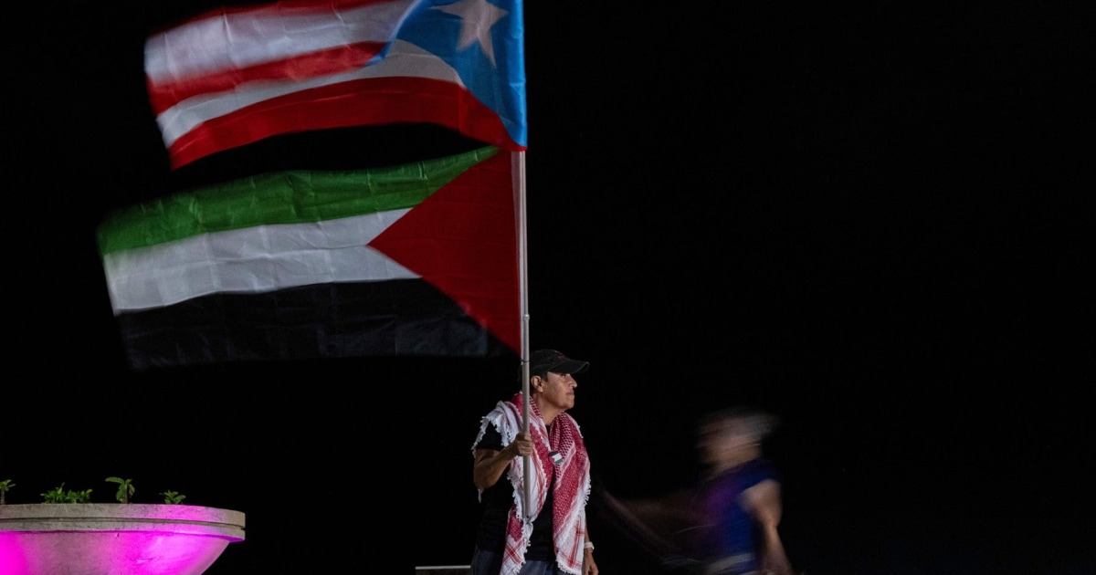 “Gente colonizada”: qué explica el amplio apoyo a los palestinos en ...