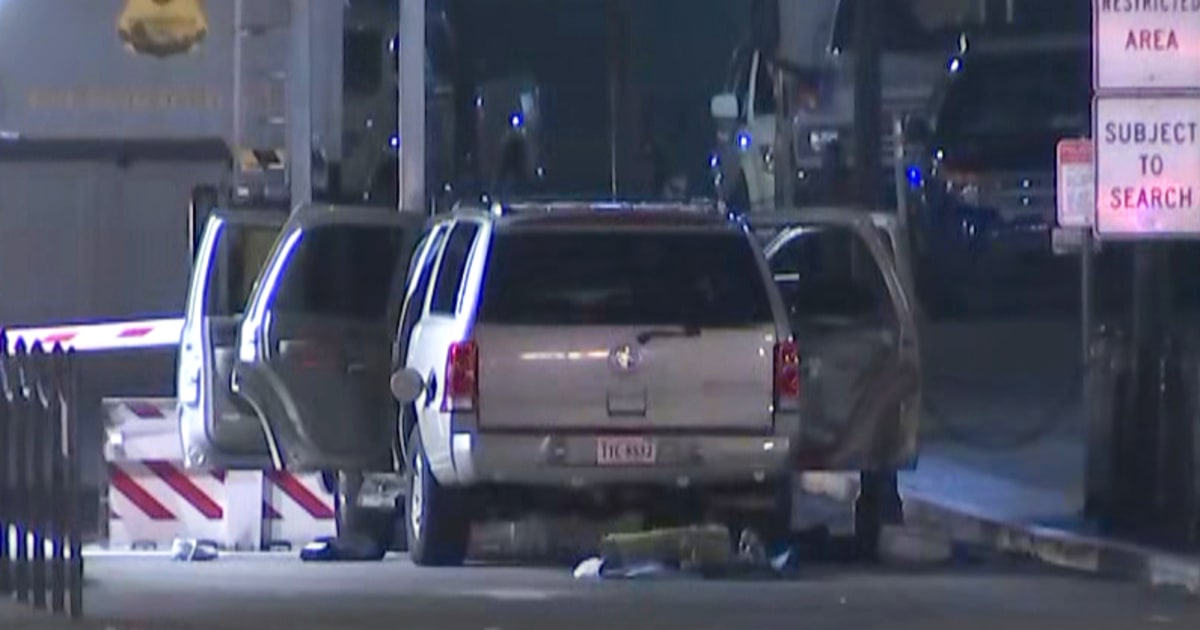 Driver In Custody After Crashing Into White House Gates