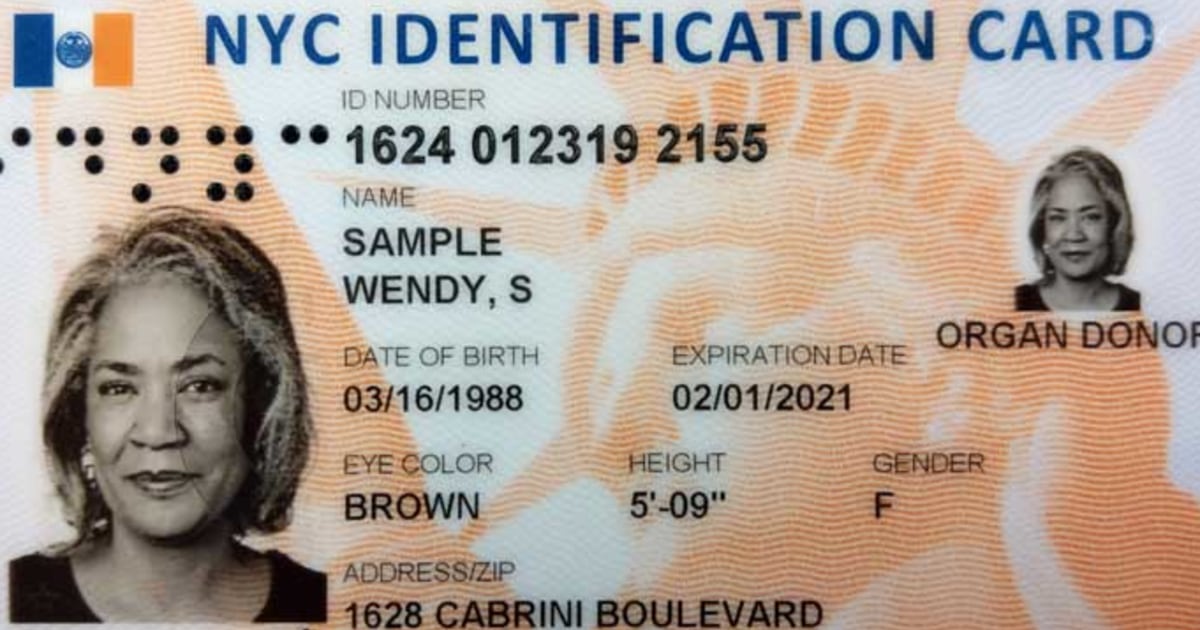 La tarjeta de identificación de Nueva York: ¿qué beneficios otorga y quiénes pueden solicitarla?