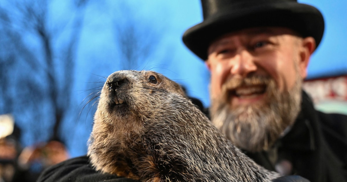 Día de la marmota: Phil sale de su madriguera y predice si llegará pronto la primavera