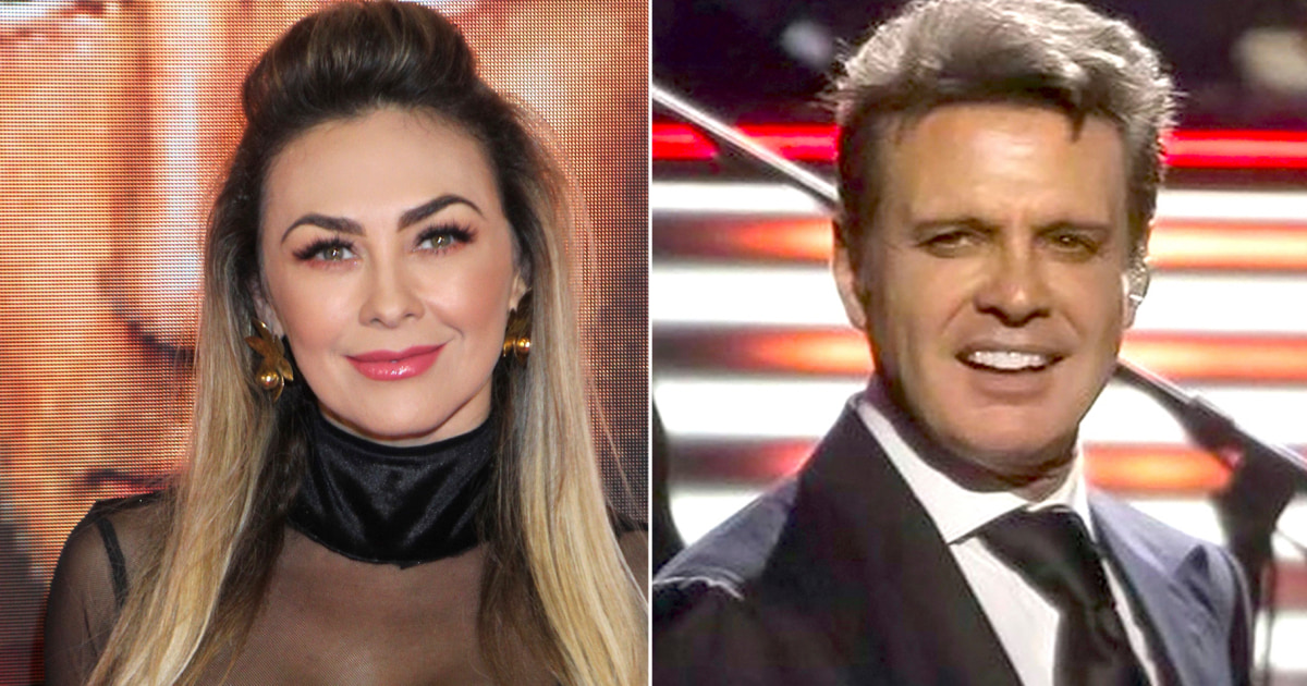 ¿Los hijos de Luis Miguel y Aracely Arámbula tienen depresión?