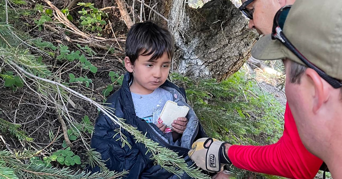 California boy, 4, who disappeared from campground found safe after 22 ...