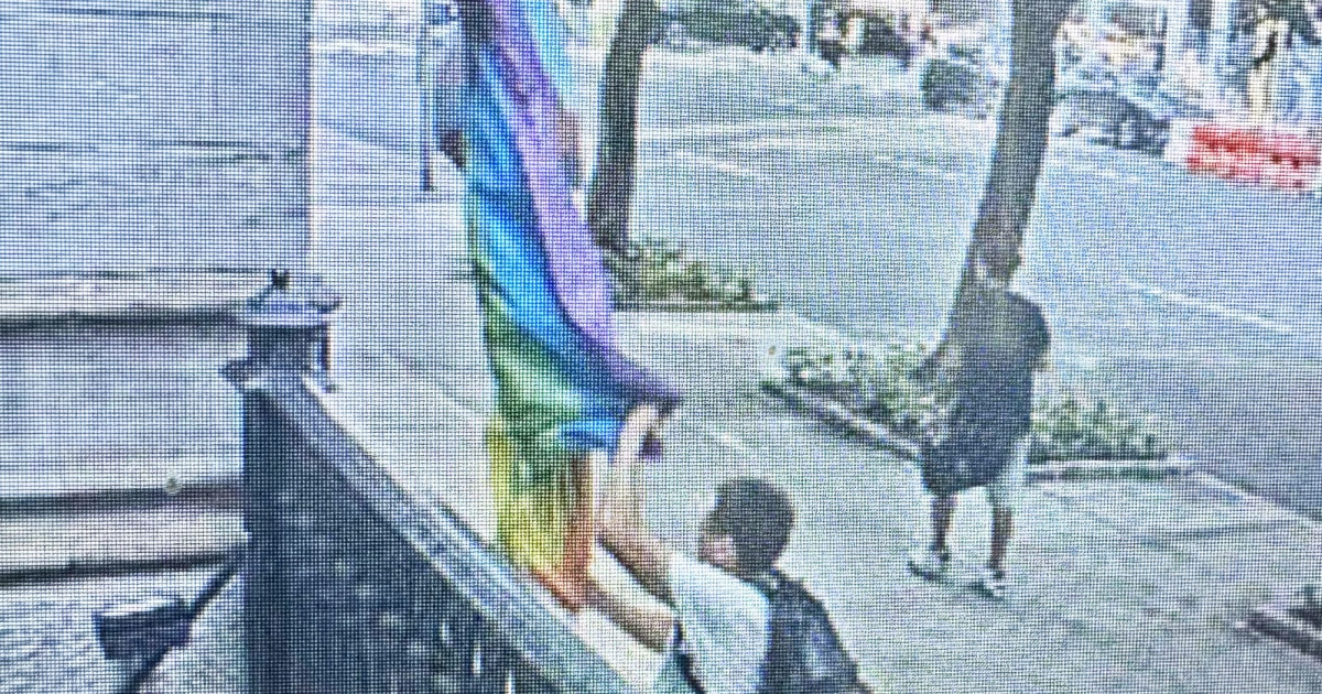 Pride flags and banner ripped down outside historic New York City church