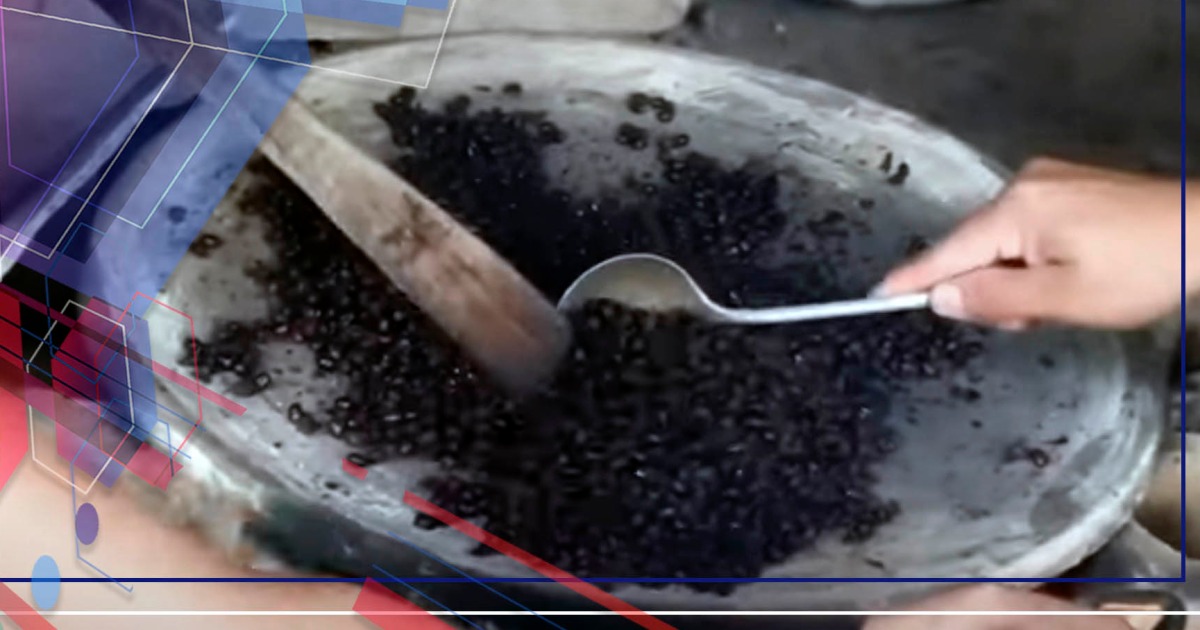 Zompopos de Mayo: caviar de hormigas parte de la gastronomía en Guatemala