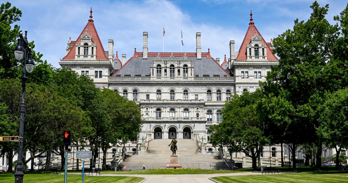New York’s top court allows ‘equal rights’ amendment to appear on ...