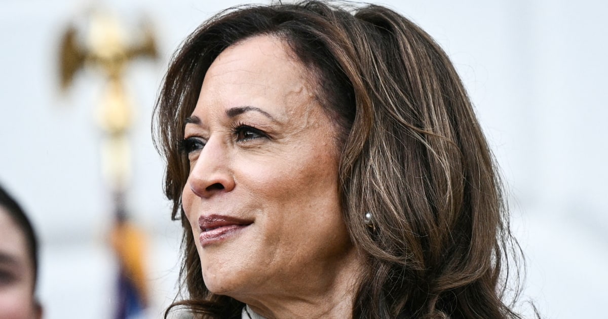 Democrats rally around Harris as her campaign takes shape: From the ...