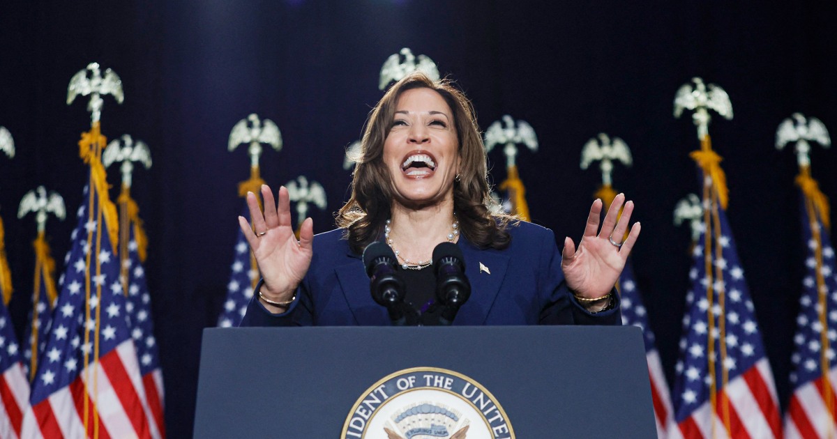 Harris rips Trump before fired-up crowd at first rally since launching ...