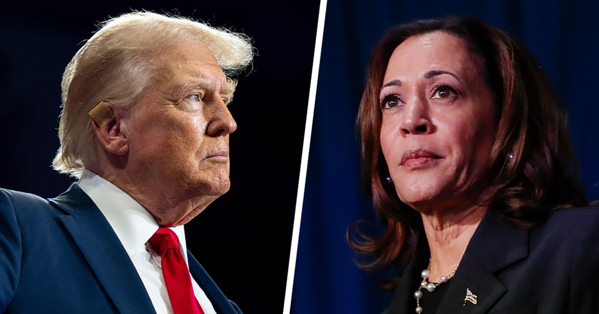 Elecciones 2024 A 100 Días De Los Comicios Kamala Harris Suma Apoyos