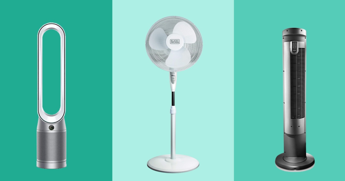 The 5 Best Oscillating Fans of 2025 NBC Select