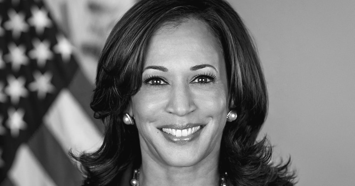 'Lotus for POTUS' energizes South Asian voters around Harris