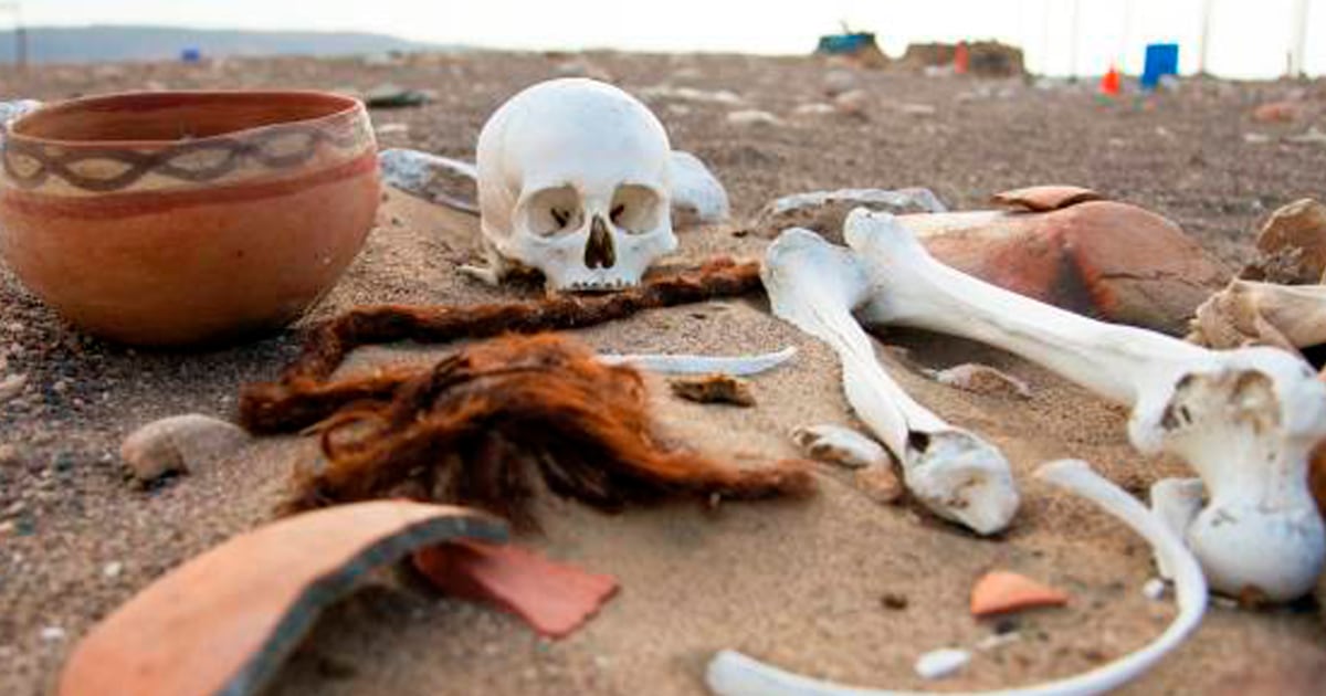 Hallan restos óseos de 11 personas de "alta jerarquía" hace 800 años en ...