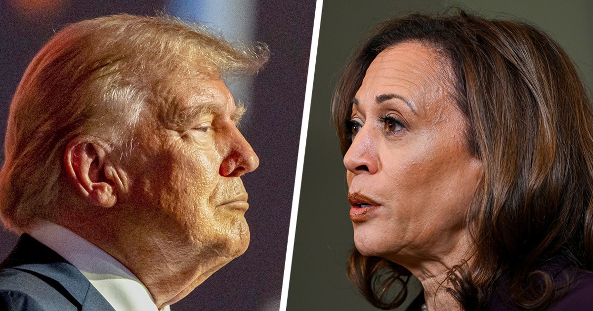 Trump dice que no acudirá al debate de ABC con Harris pautado para ...