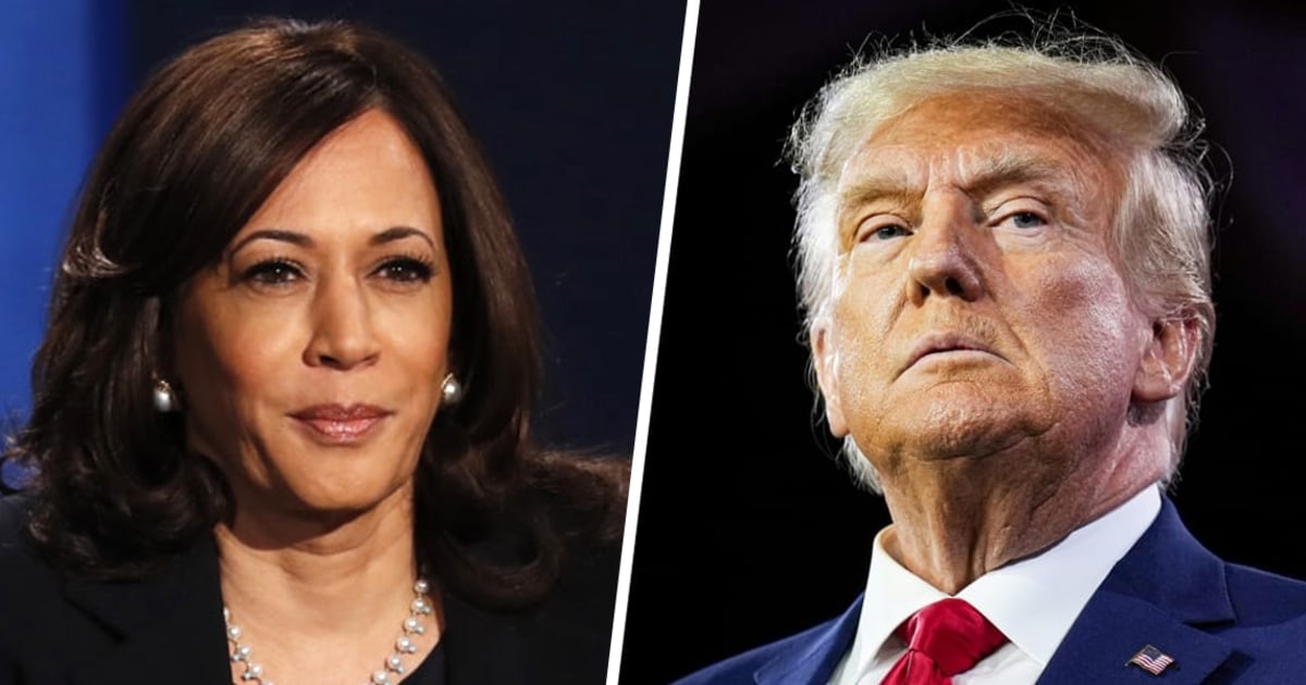 ‘Una pelea de perros’: Harris y Trump llegan empatados a la recta final ...