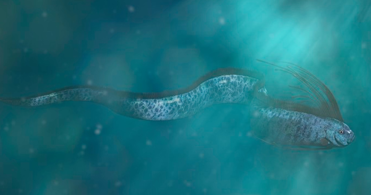 Pez que anuncia terremotos y tsunamis aparece en California