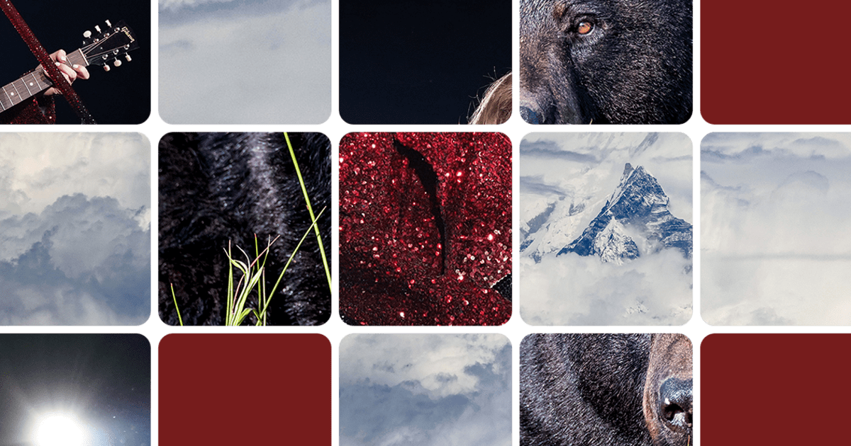 Everest gets taller and the harsh realities of Fat Bear Week: The ...