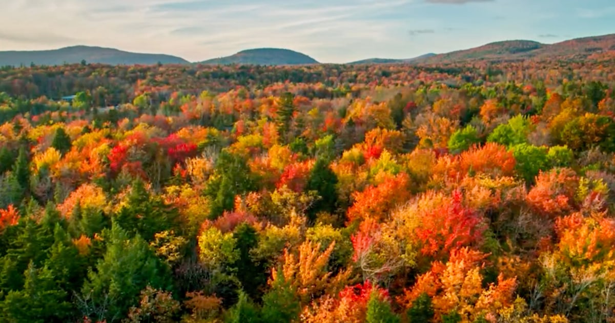 Colorblind viewfinders in Virginia parks allow guests to experience ...