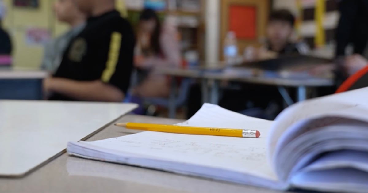 'The impact has been real': ICE raid fears keep students out of classrooms