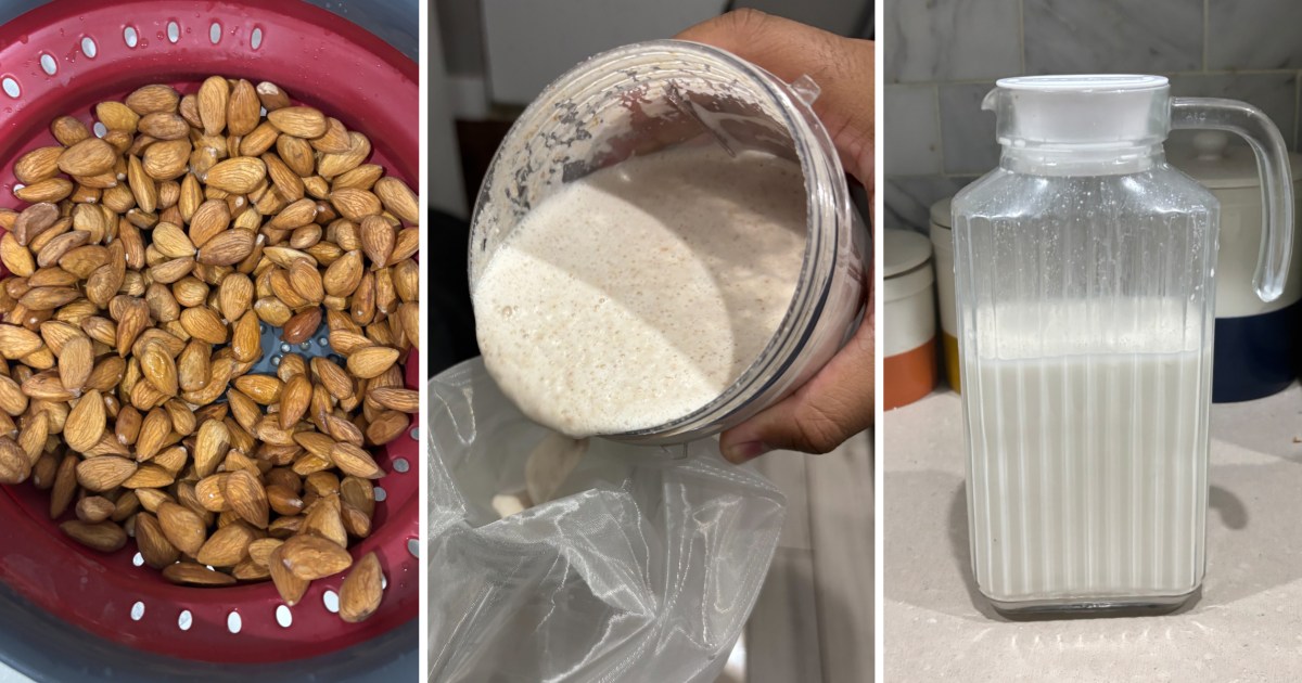 The 7 Best Nut Milk Makers, Tested & Reviewed | NBC Select