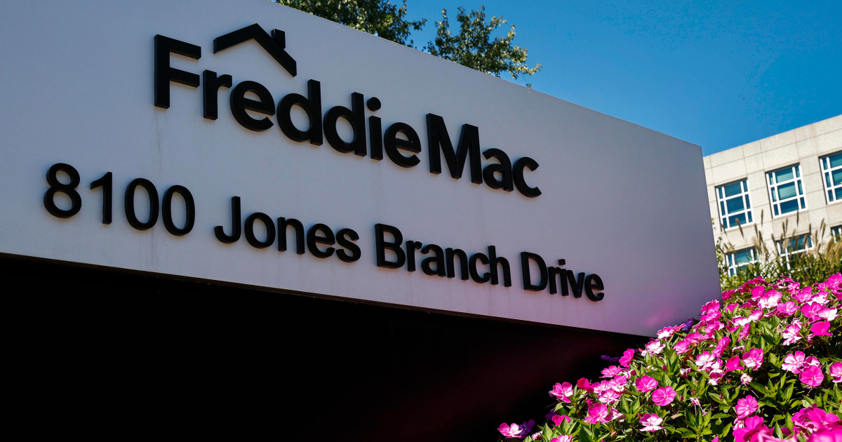 Federal housing agency won't cut Fannie Mae and Freddie Mac loan limits ...