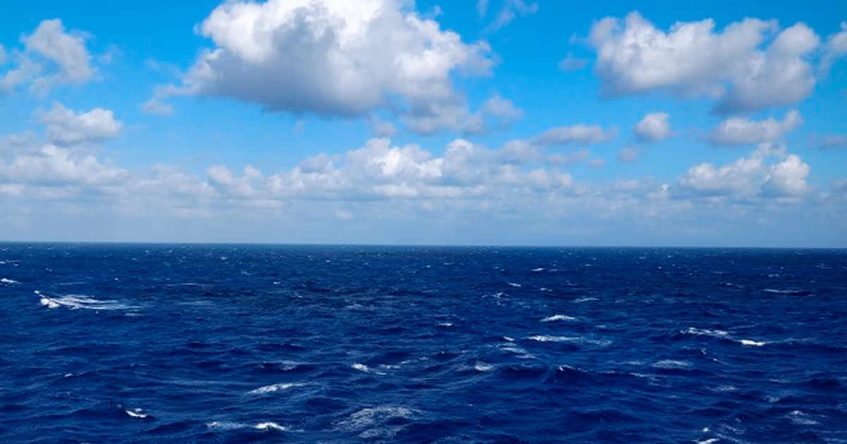 Tratado de Alta Mar: ¿Qué es y cómo busca proteger los océanos del mundo?