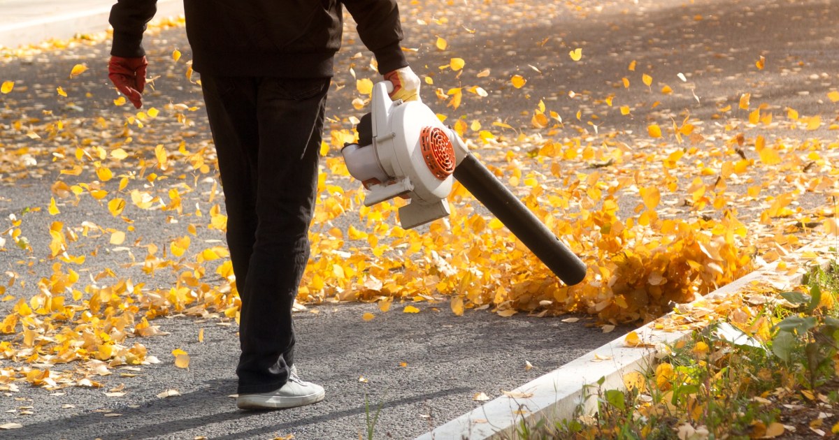 7 Best Leaf Blowers for Fall Cleanup | NBC Select