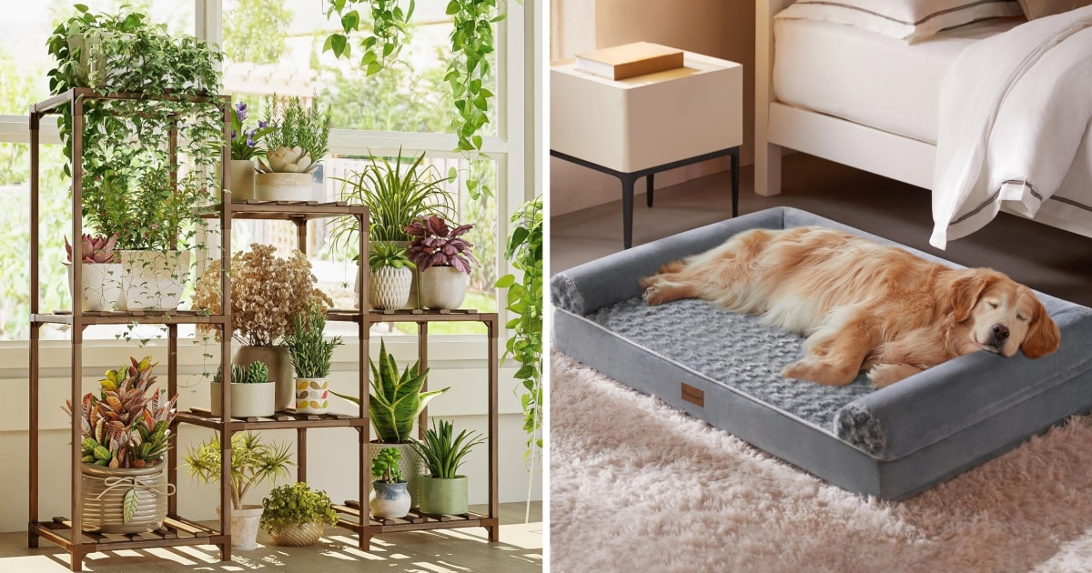 Amazon’s Secret Outlet: Best Overstock Deals to Shop Now