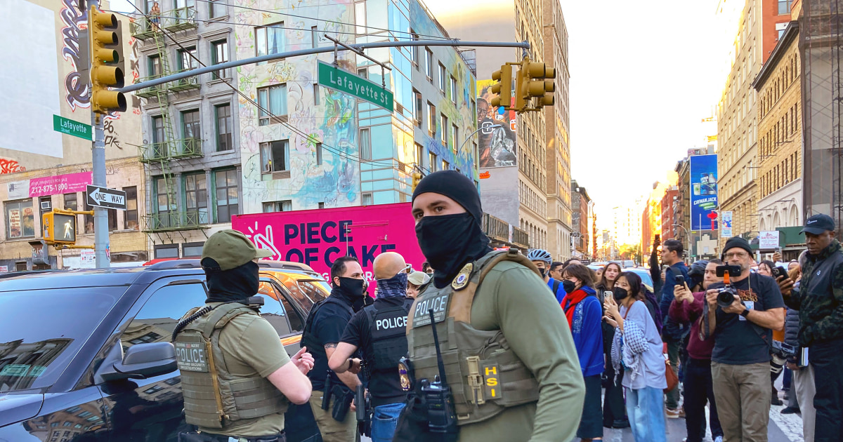 Federal agents detain several people on Canal Street in NYC during ...