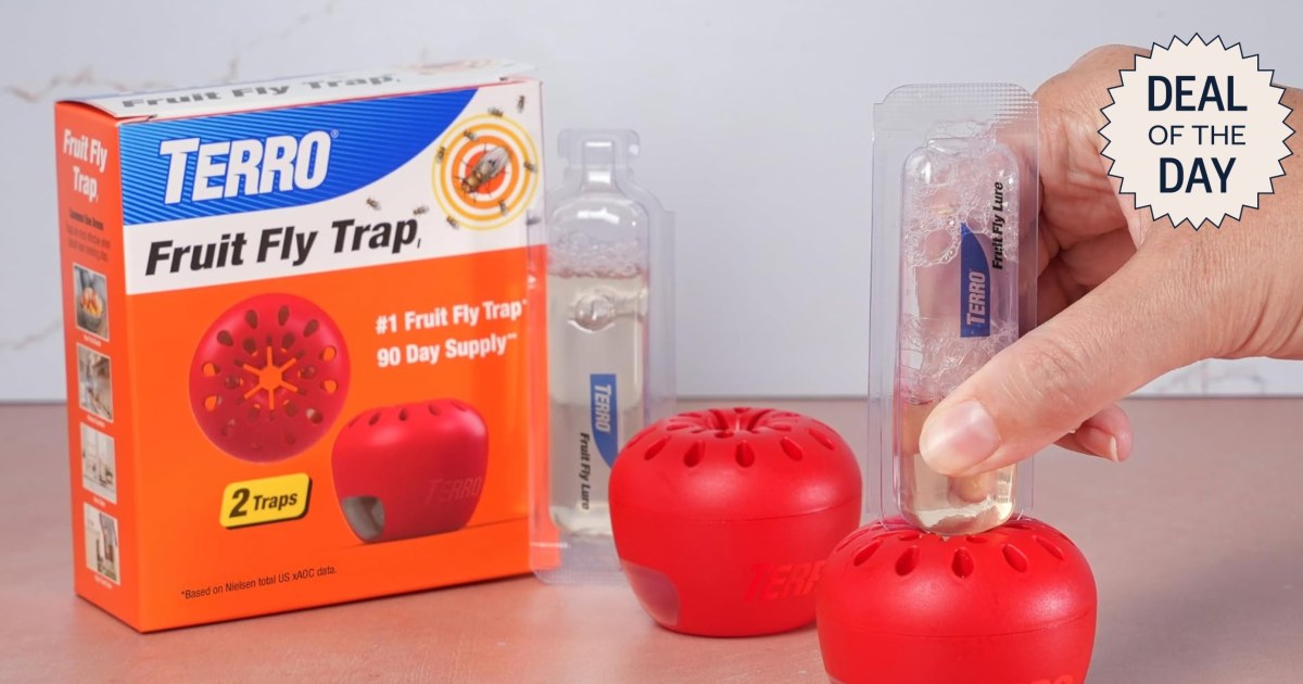 Terro Fruit Fly Traps are More Than 30% Off on Amazon Right Now