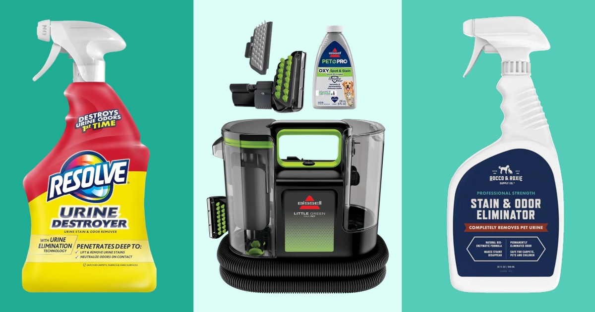 11 Best Pet Stain Removers That Work | NBC Select