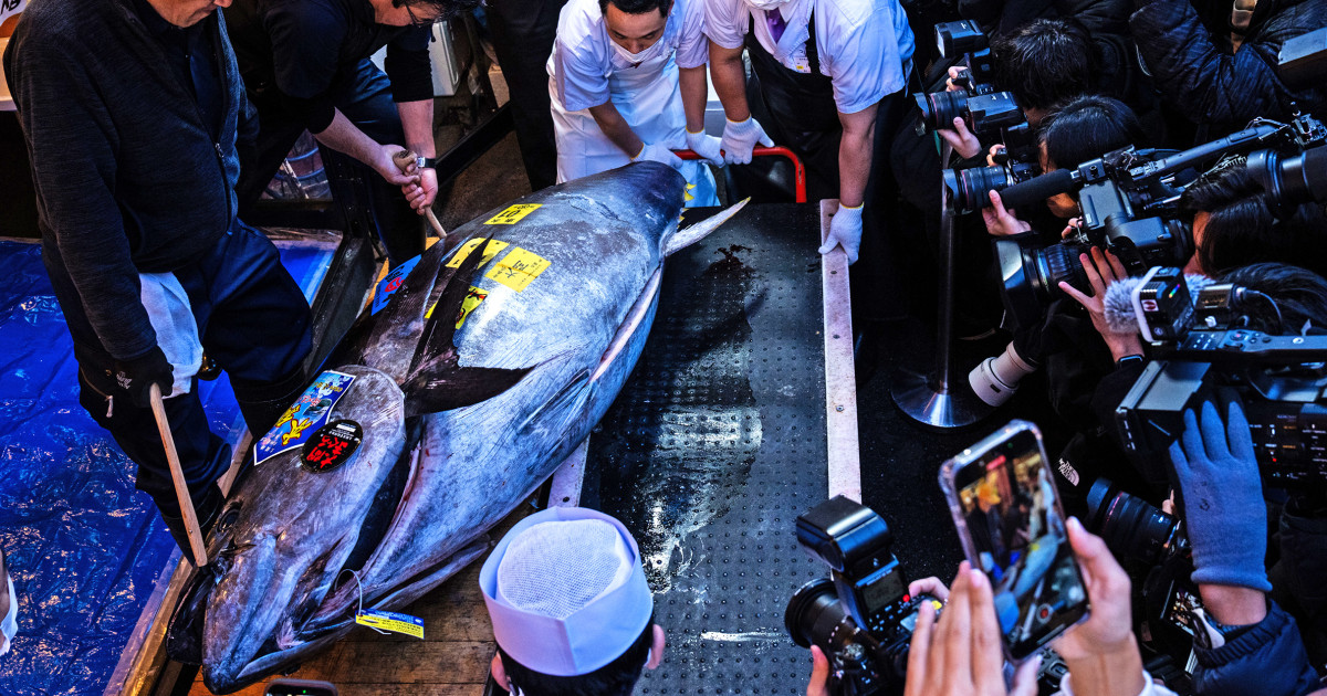 Bluefin tuna sells for record $3.2 million at year-opening auction at ...