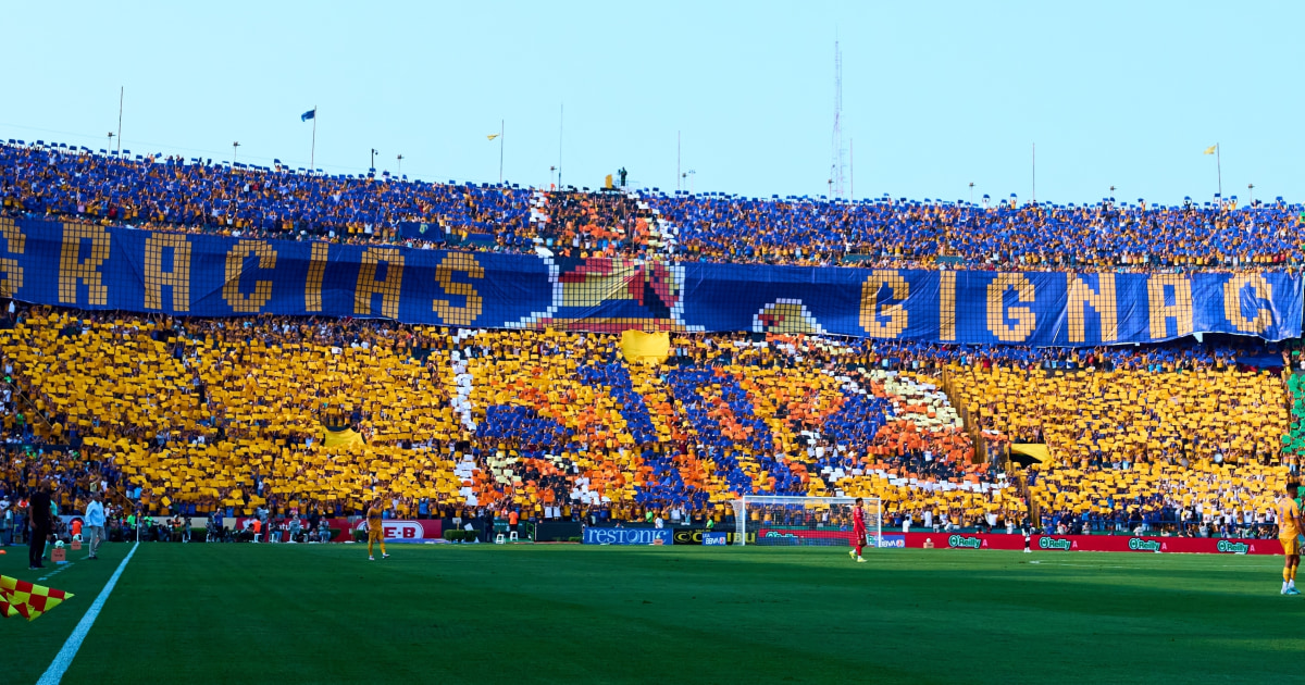 André-Pierre Gignac no se va de Tigres: el inesperado plan del francés ...