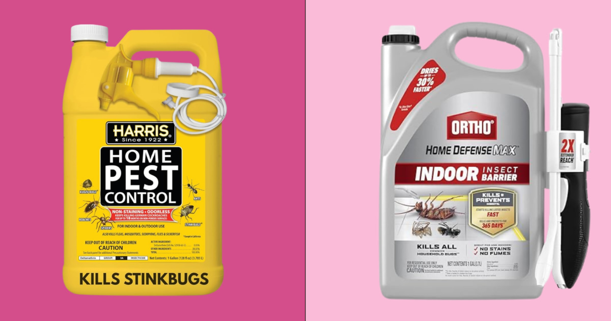 The Best Pet-Safe Bug Sprays for the Home | NBC Select