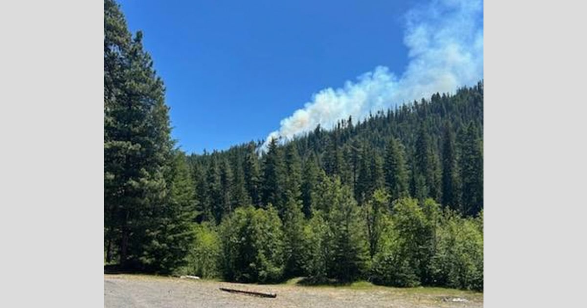 Pilot ejects before fighter jet crashes into mountain in Washington ...