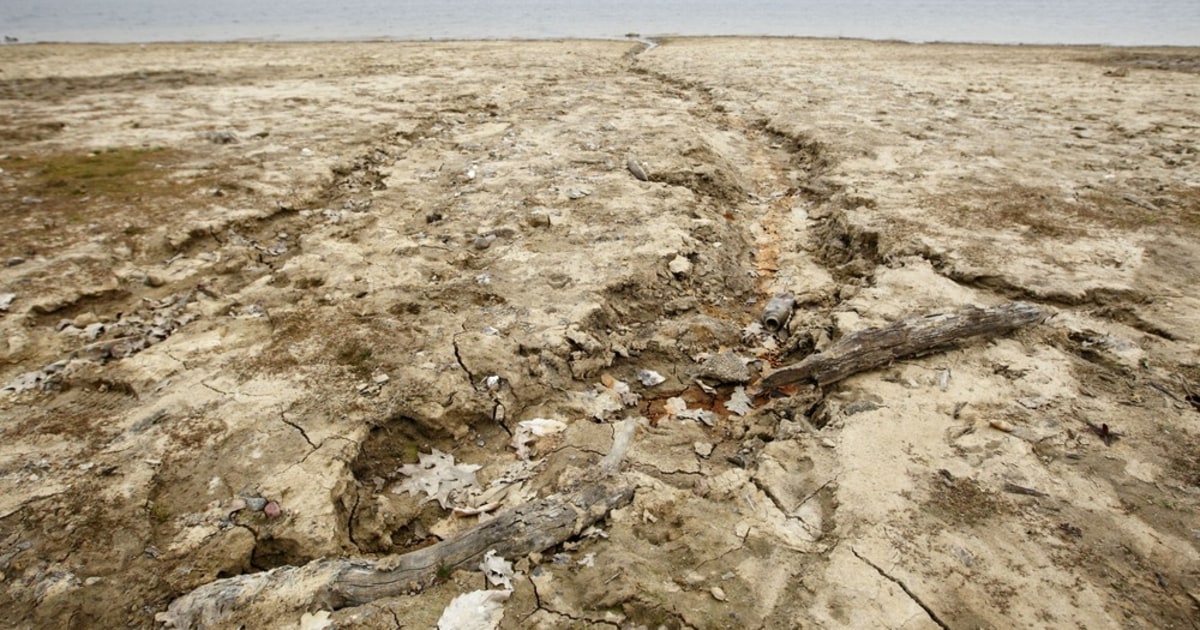 Time to ditch the umbrella? 20 million hit by drought in southeast England