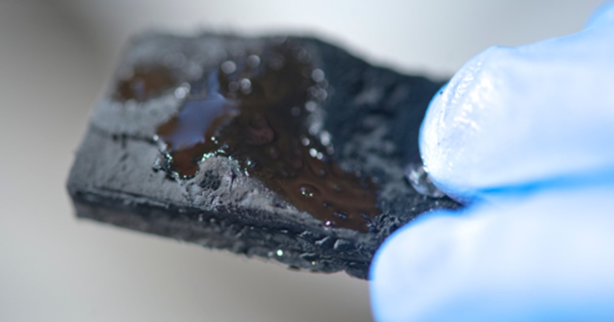 Oil-loving sponge can soak 100 times its weight