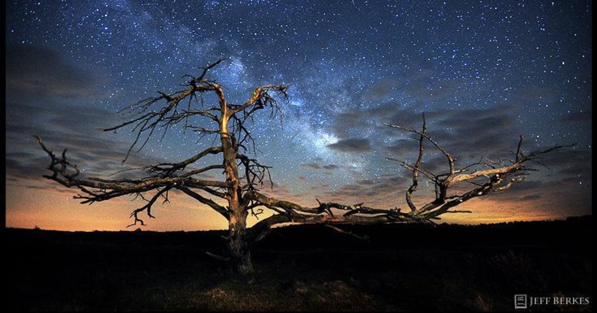 Looking back at the Lyrids