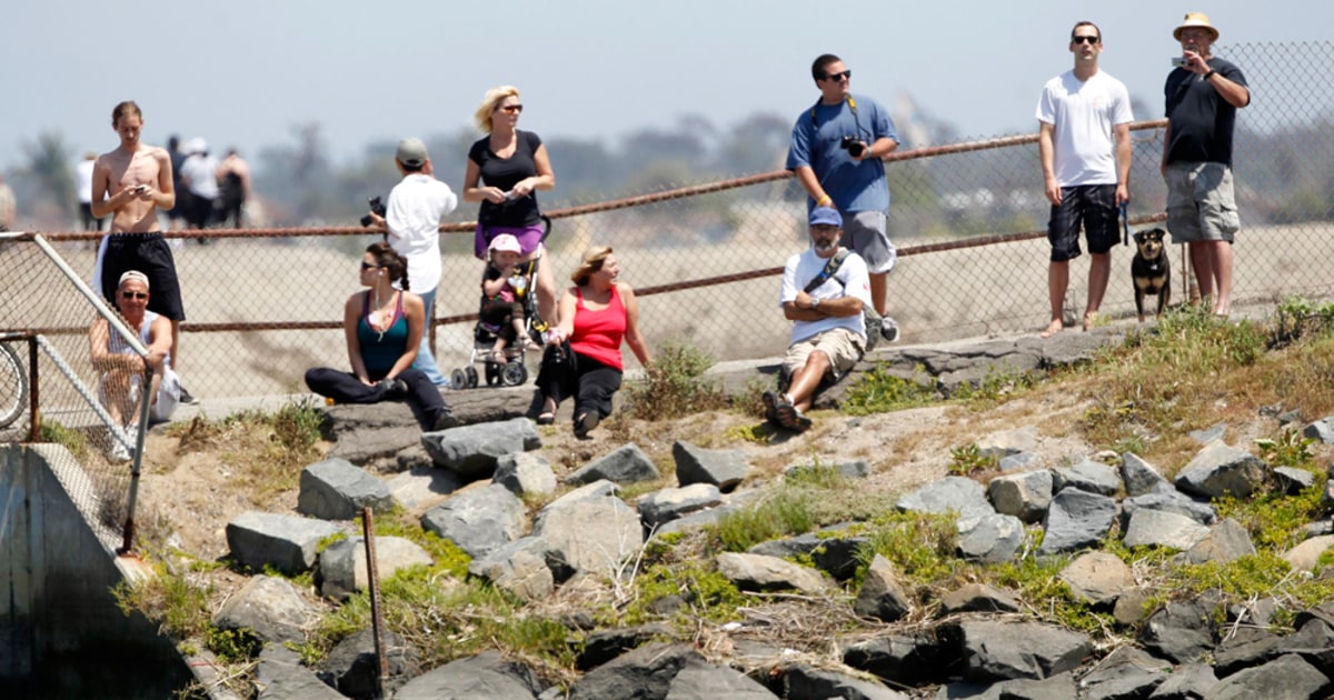 Dolphin stuck in California wetlands draws a crowd