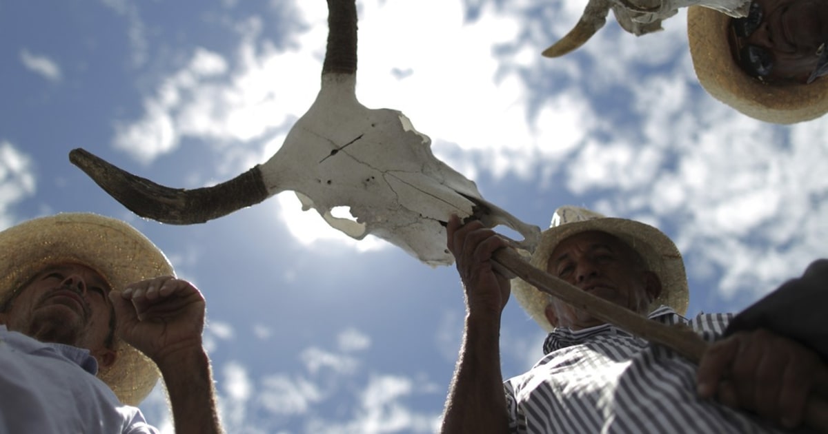 Brazilian farmers have a bone to pick with government loans after drought