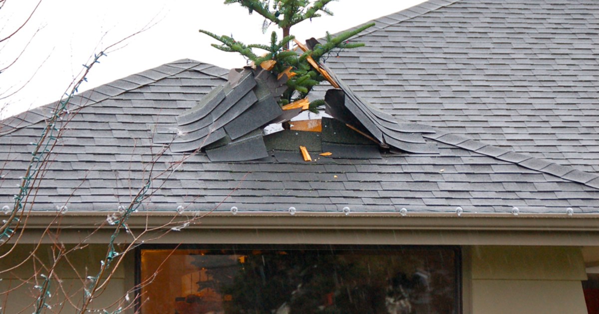 Wreck the halls? Christmas tree grows through the roof