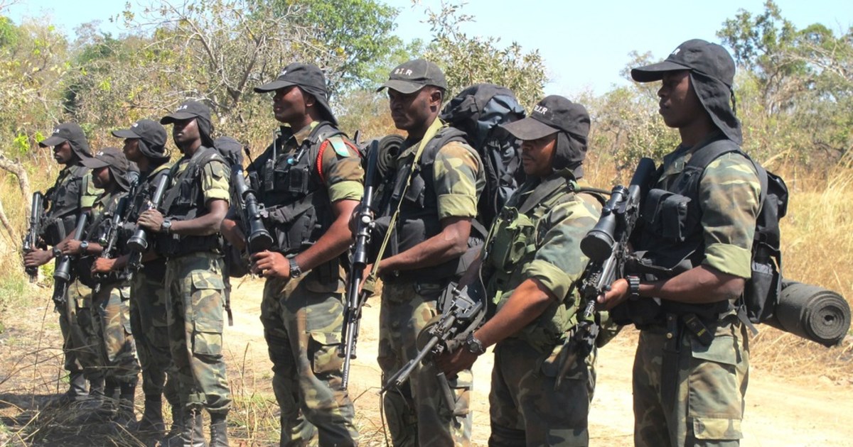Cameroon army to take on machine-gun-toting elephant poachers