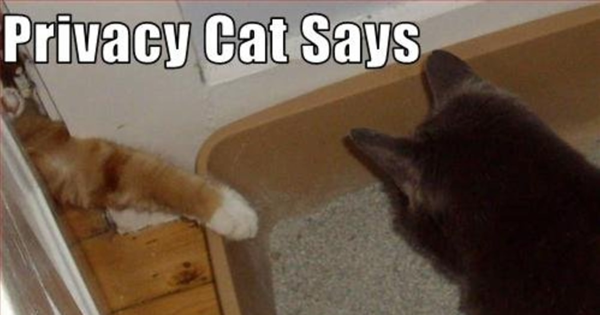 7 signs we're living in the post-privacy era