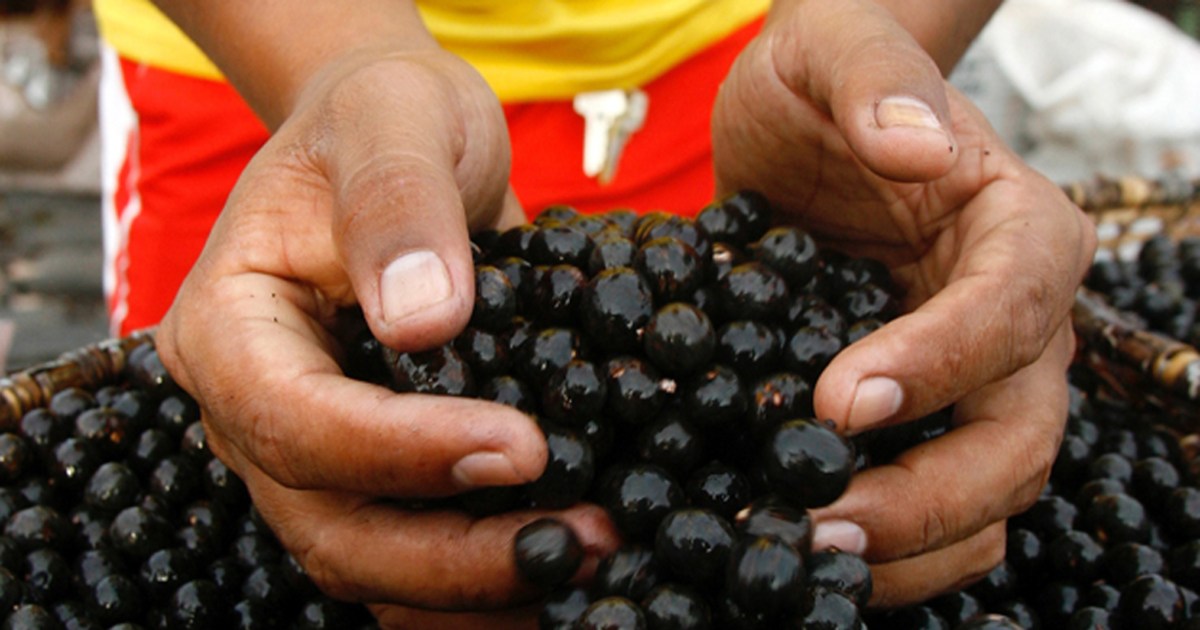 Acai scam hijacks Twitter accounts, may be connected to Gawker attack