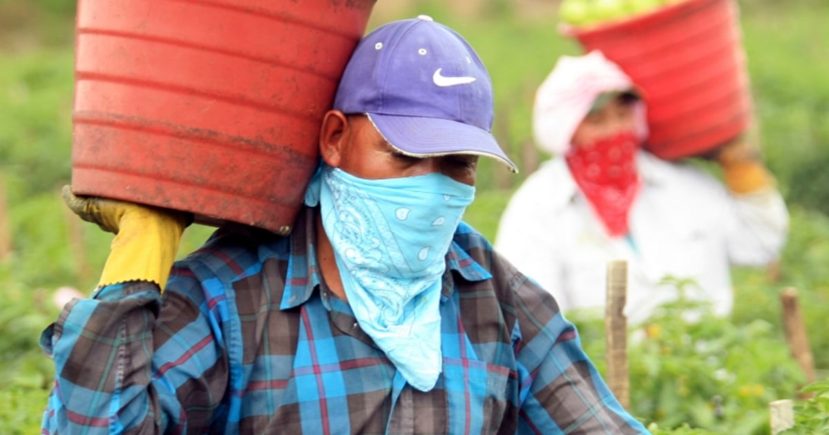 Farmworkers threatened by pesticides, government red tape. EPA stays mum.
