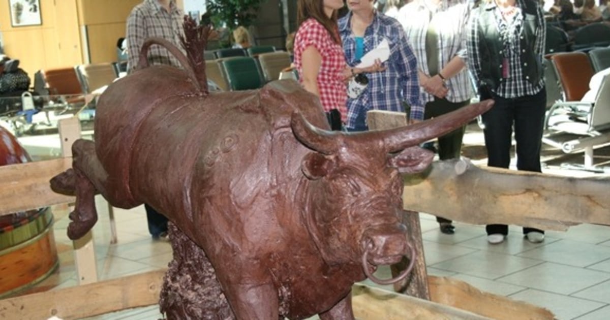 880-pound chocolate bull welcomes rodeo fans at Calgary's airport