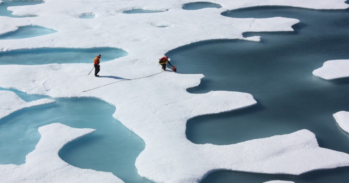 'Megabloom' of tiny plants under Arctic sea ice tied to climate change