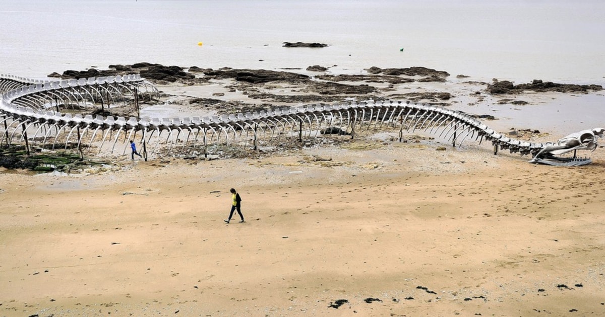 Quirky art projects line Loire river estuary in France