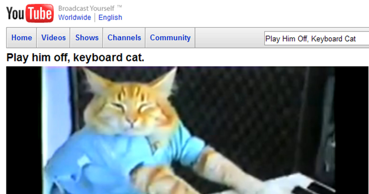 Google-built machine learns to find cats on the Internet